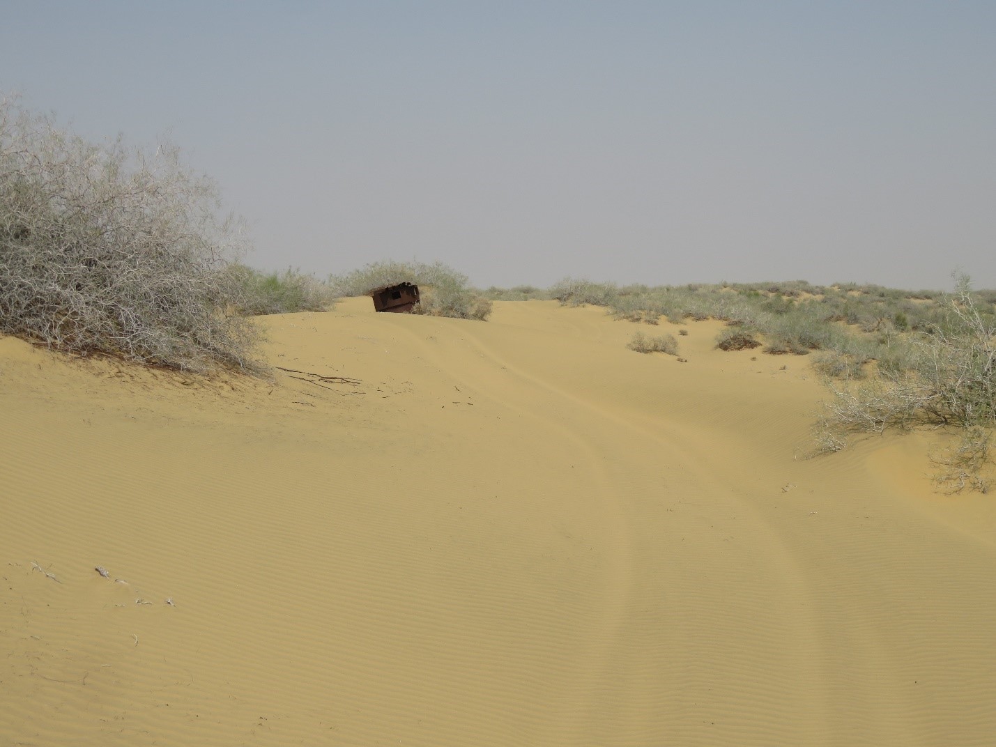 The Battle of Laungewala….Untold history Part -3 – Travel As Much As ...