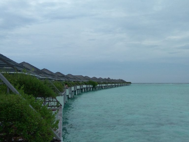 A Cup of Coffee @ Maldives – Travel As Much As You Can